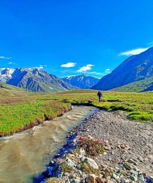 Miyar Valley Trek – Offbeat Himalayan Trail in Lahaul